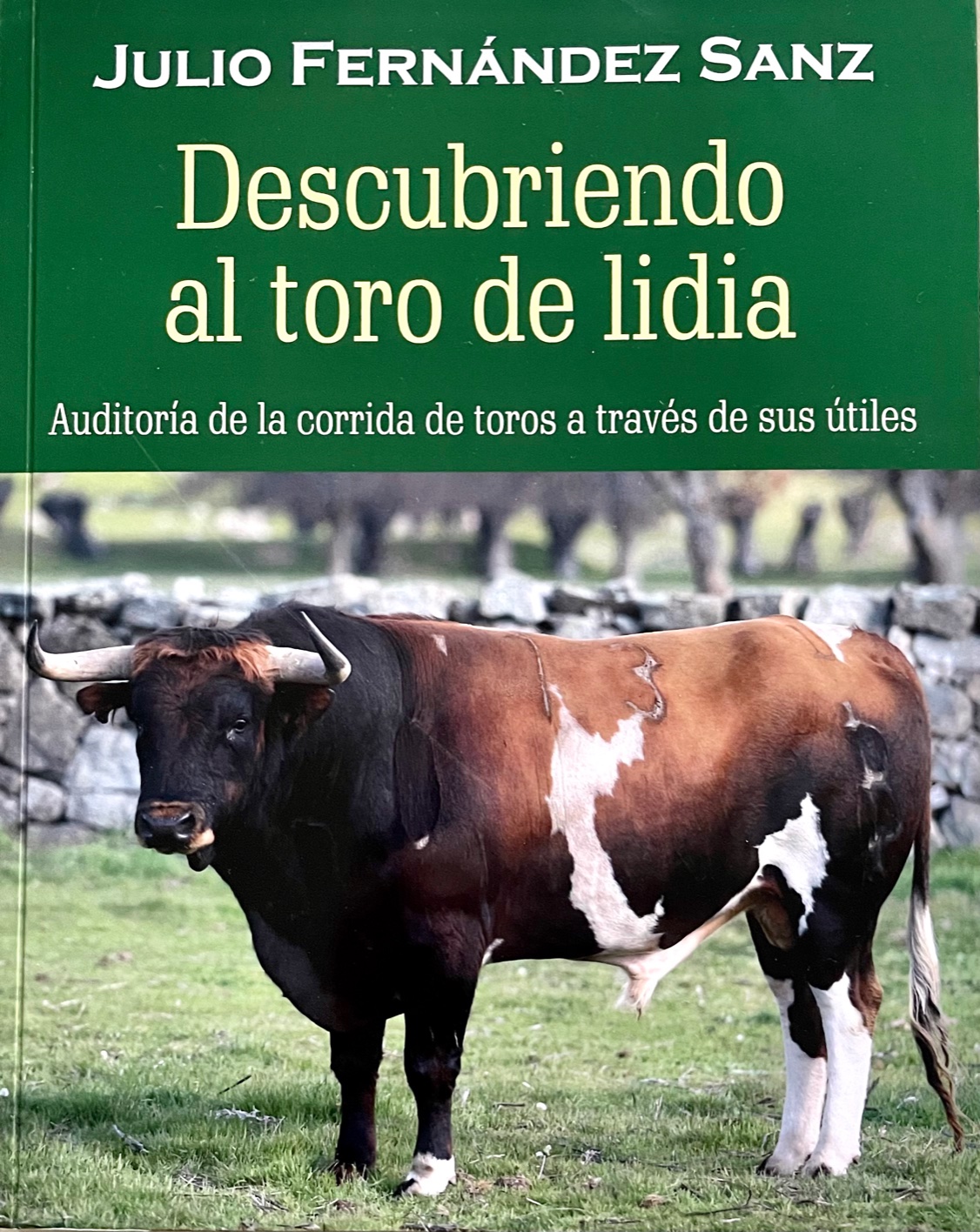 DESCUBRIENDO AL TORO DE LIDIA – LA SUERTE DE VARAS